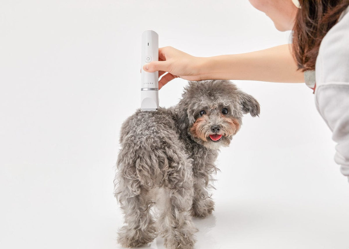 The PETKIT Pet Trimmer: Your Perfect Grooming Companion - PETKIT New ...