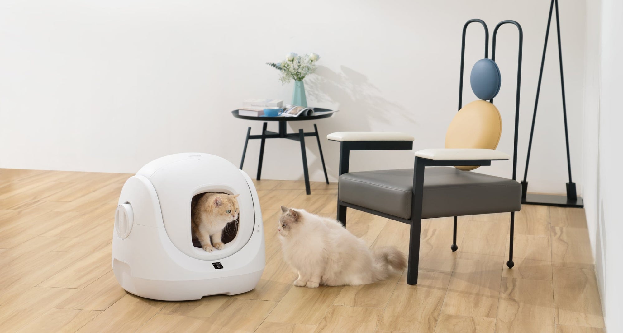 Smart Pet Products - PETKIT New Zealand
